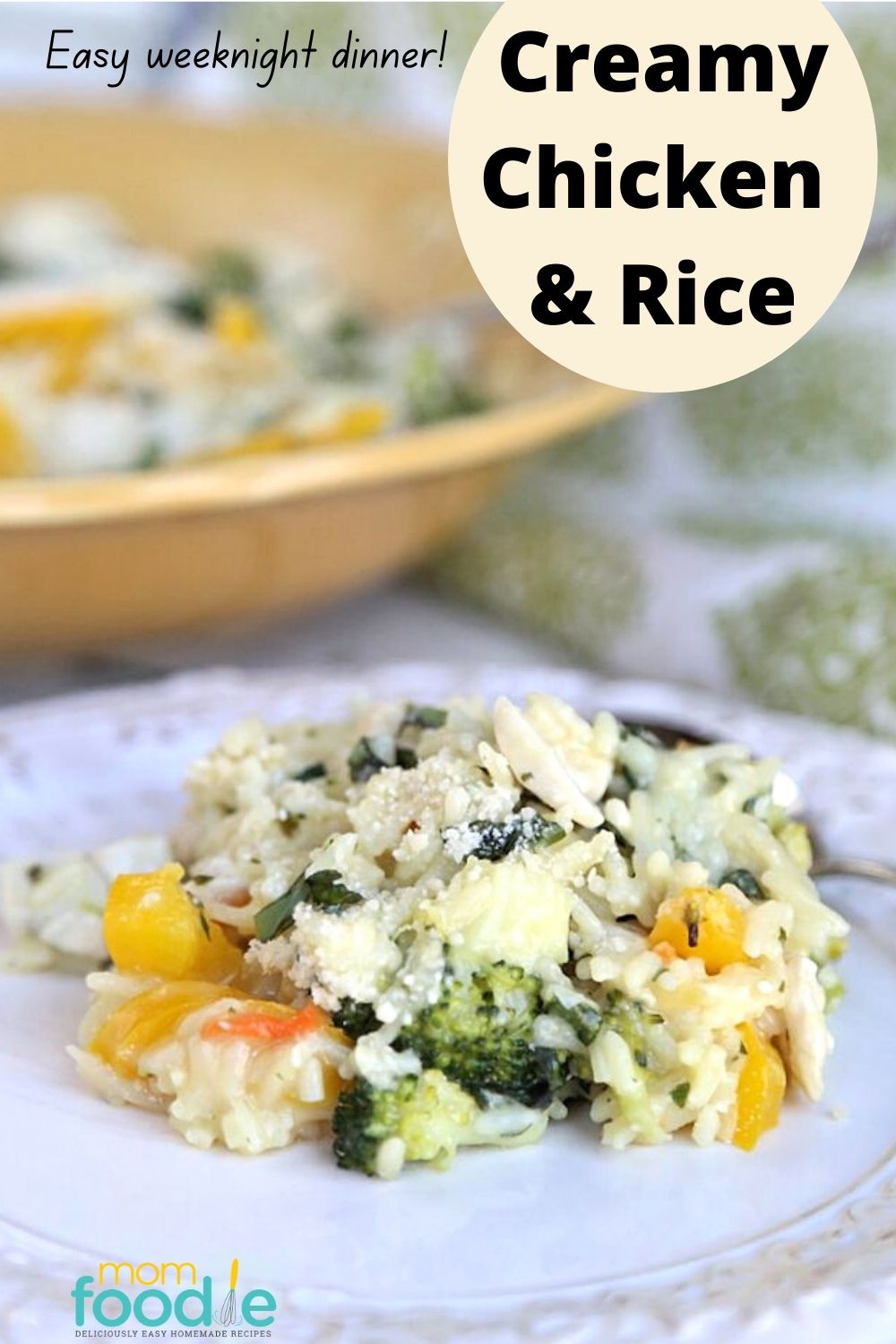 Easy Creamy Chicken Rice Recipe with Fresh Vegetables