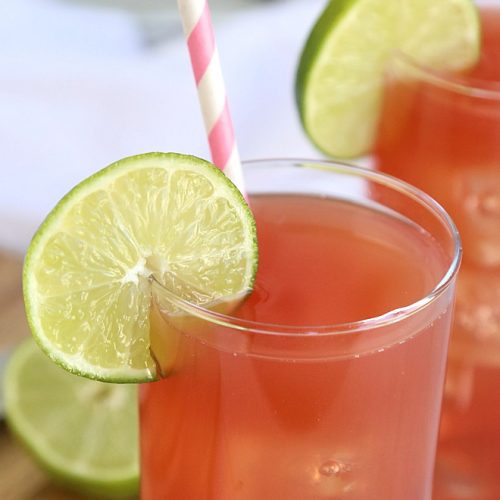 Madras Drink - How to Make a Madras Cocktail - Mom Foodie