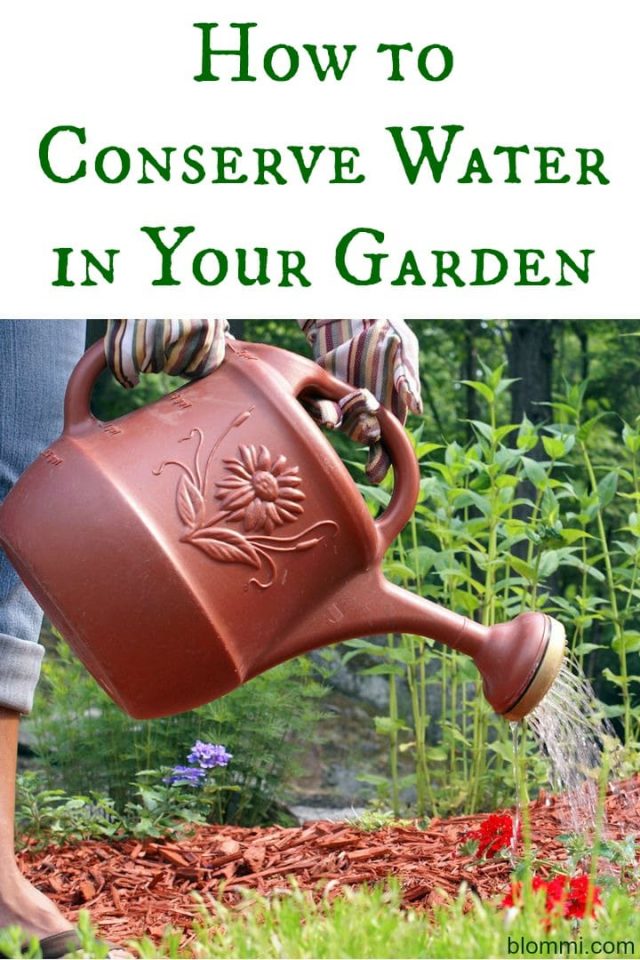 How to Conserve Water in the Garden - Water Efficient Gardening