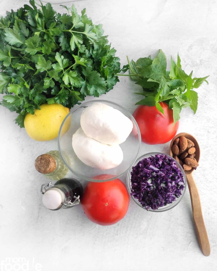 Christmas Caprese Salad - Mom Foodie